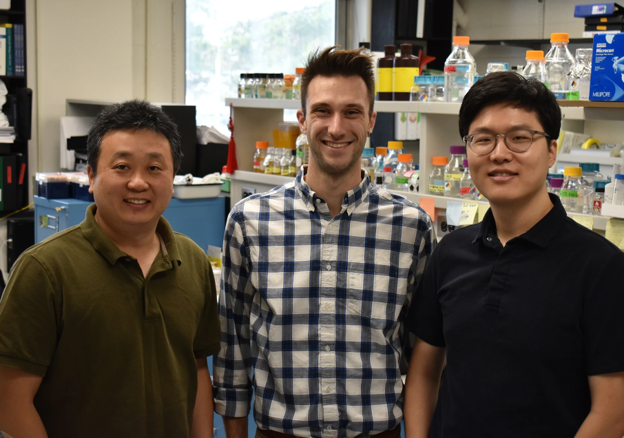 Plant biology discovery is 'like a switch between life and death'